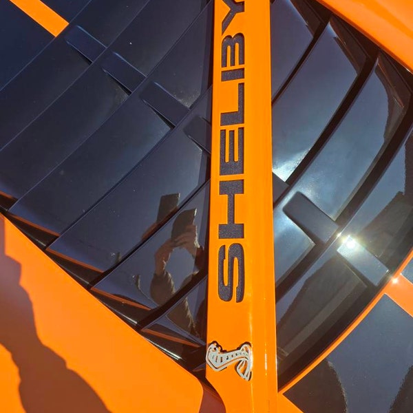 2016-2022 GT500 / GT350 RADIATOR COVER PLATE White and Blue Metallic - Etsy