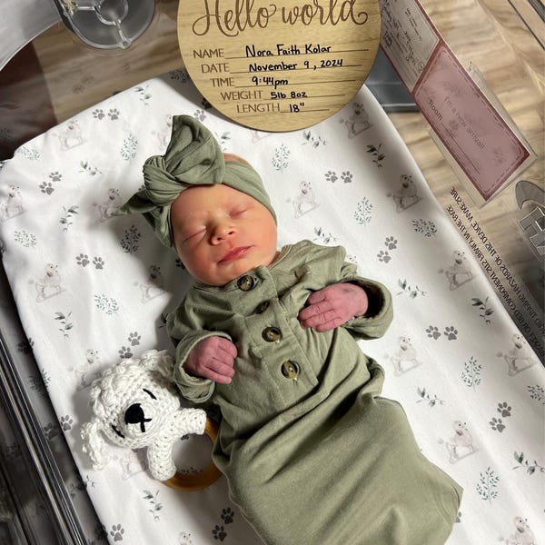 GSP Hospital Take Home Baby Boy Swaddle, German Shorthaired Pointer ...