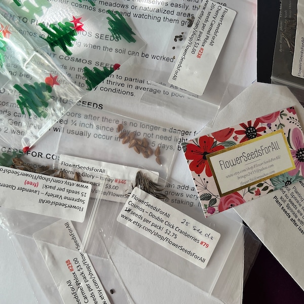 African Daisy #89 - Etsy