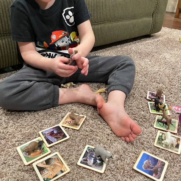 Montessori and Waldorf Learning Sea Life Animals Sustainable Match Toys ...