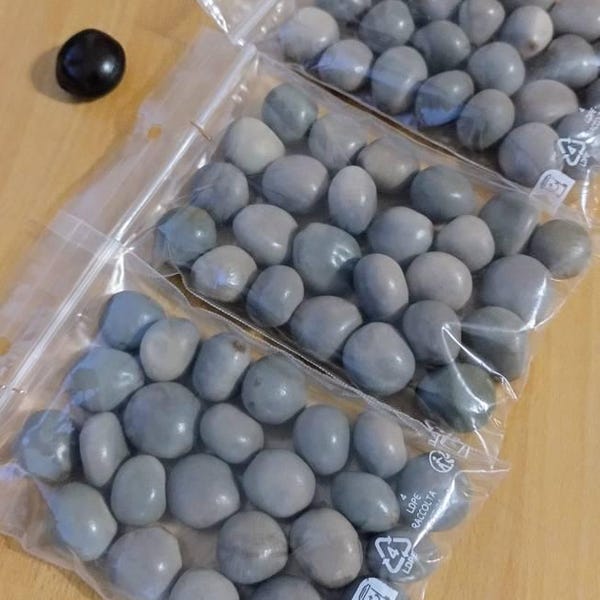 25 Grams of Red Seeds (adenanthera Pavonina) or Approximately 96 Seeds ...