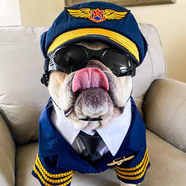 Custom Made Dog Cat Pet Pilot Captain Aviator Uniform Blazer Coat and ...