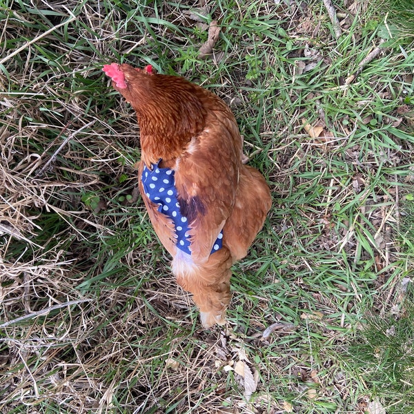 Chicken Saddles/ Hen Protector/chicken Apron. Random Colors. Single ...