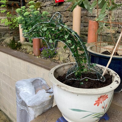 Handmade Topiary Rabbit Frame for Plants Perfect for the Budding ...