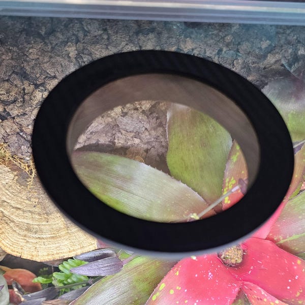 3D Printed Vivarium Vent With 80 Mesh: Isopod & Spider Terrarium ...
