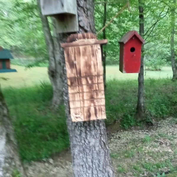 Squirrel House, Squirrel Nest Box, Wildlife Rehab Approved Squirrel Box ...