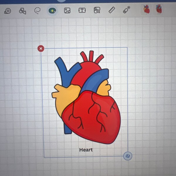 Printable Patho Nursing Notes Disease Template Pathophysiology Study ...