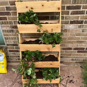 Vertical CEDAR Ladder Planter With Deep Root Vegetable Boxes - Etsy