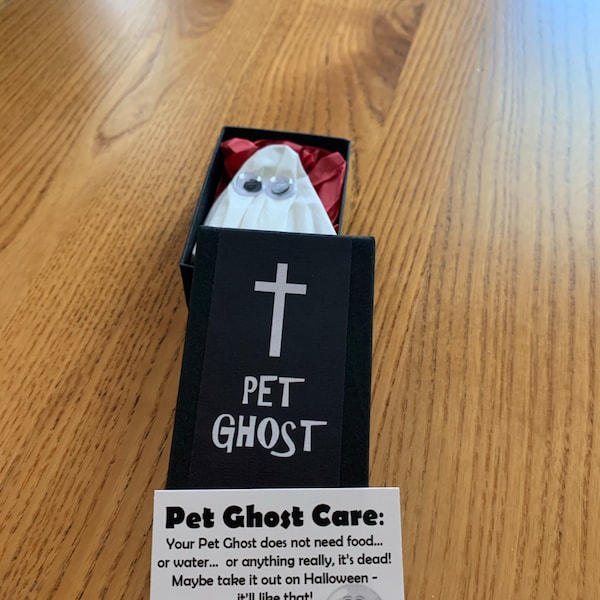Pet Ghost - Funny Novelty Gift Ideas - Ideal for Birthday Presents ...