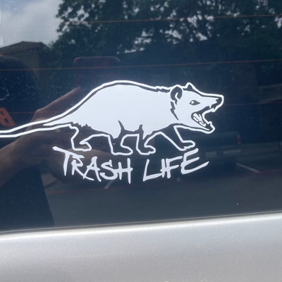 Trash Life Opossum Marsupial, Possum, Wildlife, Love, Cute, Roadkill ...