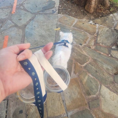 Bubble Tea Boba Carrier Holder Foldable With Handle and Straw Holder ...