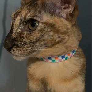Retro Checkered Cat Collar With Bell, Colorful Male Cat Breakaway ...