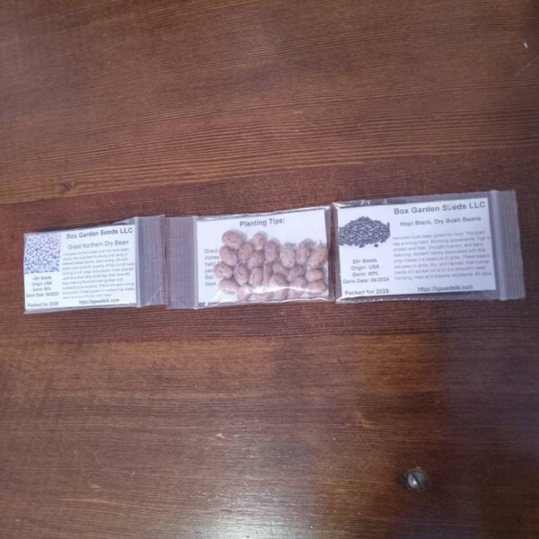 Common, Milkweed, Heirloom Garden Seed Flower Monarch Butterfly ...