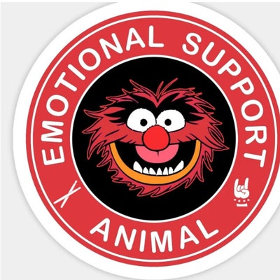 Static Funny Car Sticker JDM RWD Drift Stance Lowered Hydo Air Bag ...