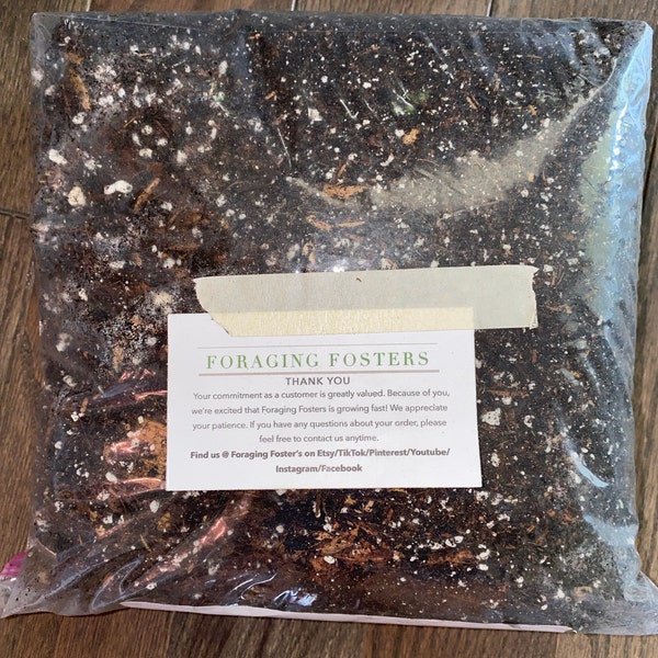 Chunky Soil-less Potting Mix (GREAT for All Plants) - Etsy