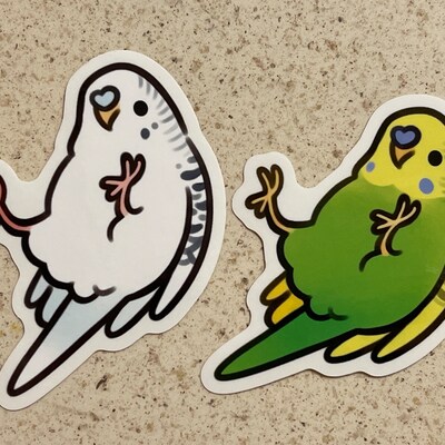 Green & Yellow Budgie Clear Vinyl Sticker - Etsy