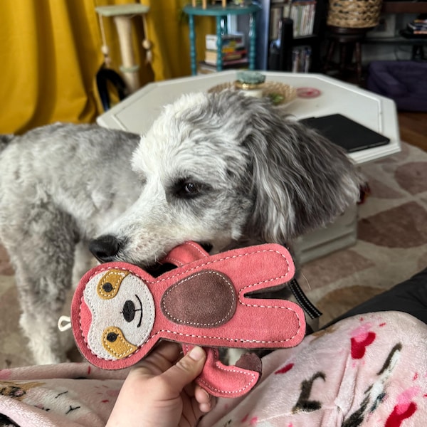 All-natural Water Buffalo Cheek Rolls for Dogs – Long Lasting Rawhide ...