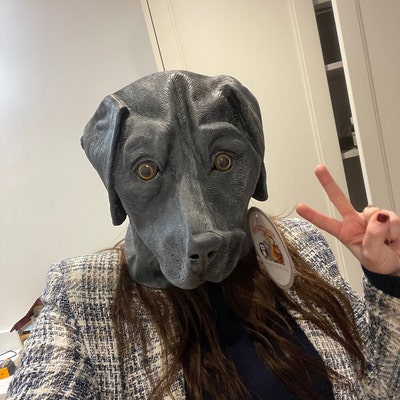 Deluxe Latex Realistic Animal Reptiles Lizard Gila Monster Mask for ...