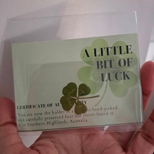 Genuine Five Leaf Clover | Shamrock 5 Leaf Clover | Wedding Favours ...