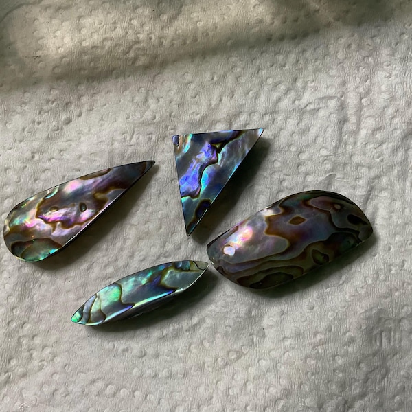 Natural Abalone Shell Piece Wholesale Lot, Abalone Shell for Jewelry ...