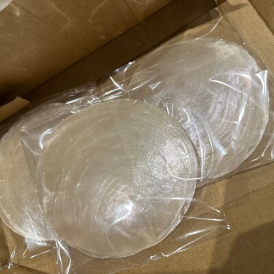 Tibia Spindle Sea Shells White Tibia Shell Long Pointy Shells Shabby ...