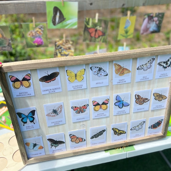 Butterfly Flash Cards Montessori Printable Homeschool Resources Toddler ...