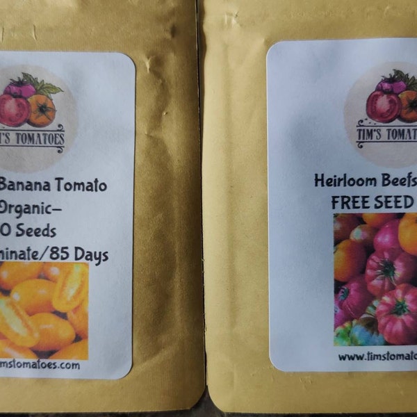 Tromboncino (zucchini Rampicante) Squash Seeds | Heirloom | Organic - Etsy