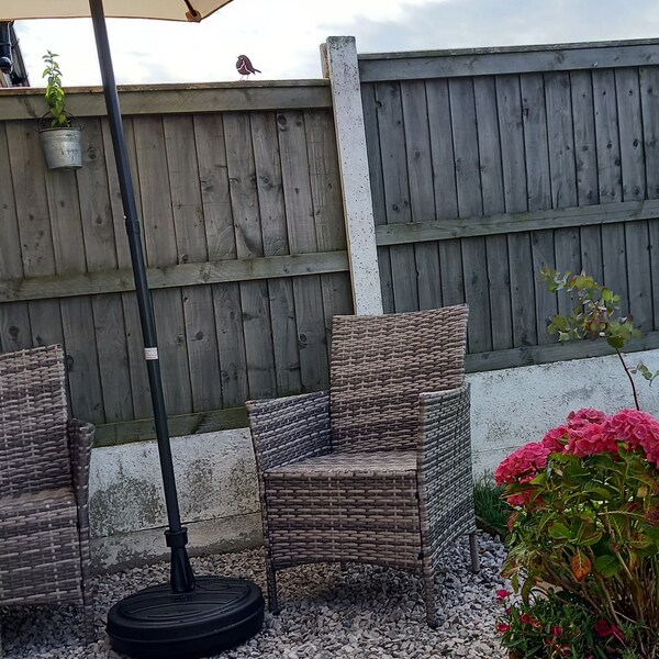 Rusty Metal Robin - Steel Robin Decoration - Rusty Bird - Wild Bird Art ...