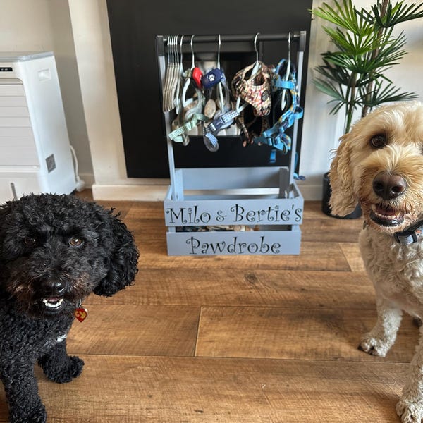 Pink Dog Wardrobe, Dog Harness Storage, Dog Closet, Dog Clothing ...