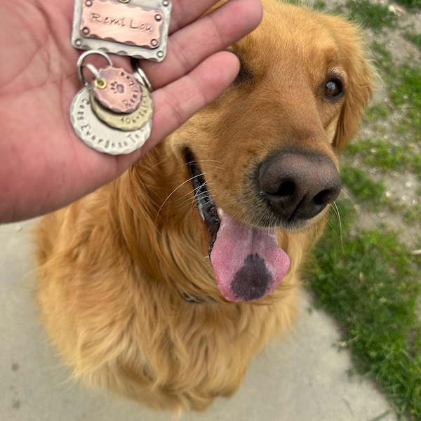 Large Dog Tag - Personalized Pet ID Tag With Hand Stamped and Engraved ...