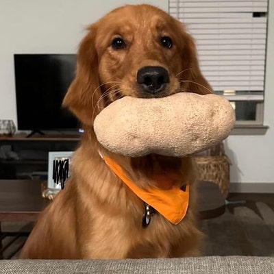 Squeaky Gavel Dog Toy - Etsy