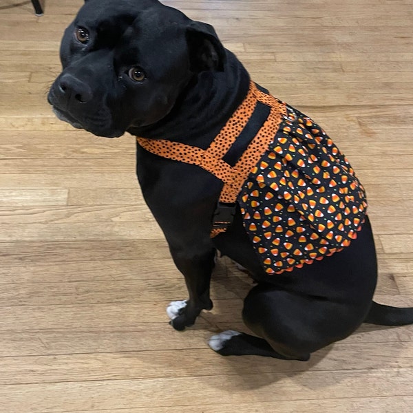 The Harlow // Halloween Dog Harness Dress, Dog Harness Dress, Dog Dress ...