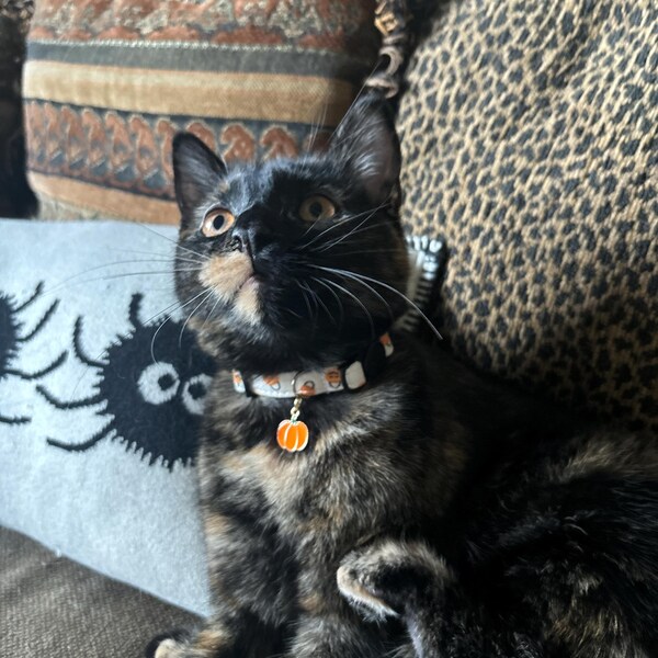 Strawberry Cat Collar Strawberry Kitten Collar Strawberry Collar ...