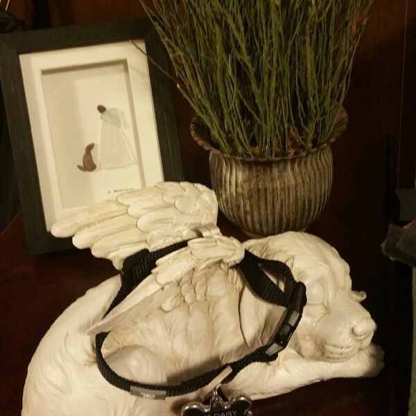 Pebble Art Dog Paw Print,dogs,dog Lovers Gifts,personalized Gifts,gifts ...