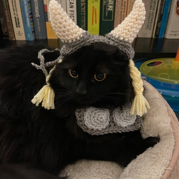Brunhilde, Vikings, Valkyries, Wagner Opera, Hats for Cats, Pet Hats ...