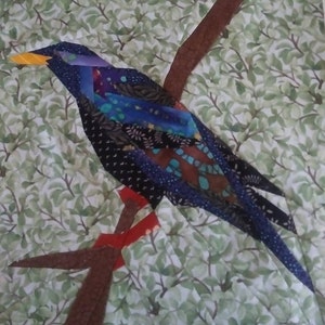 Blue Jay Paper Piecing Pattern - Etsy