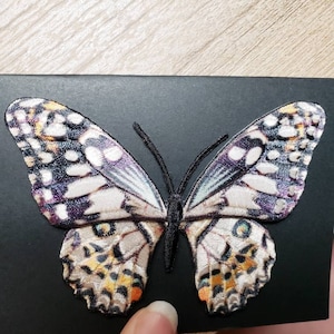 Iridescent Realistic Moth Embroidery Applique / High Quality - Etsy