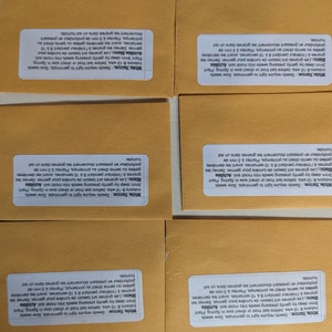 HEAVEN BLUE MILKWEED Tweedia Seeds Rare Blue Milkweed / Blue Milkweed ...