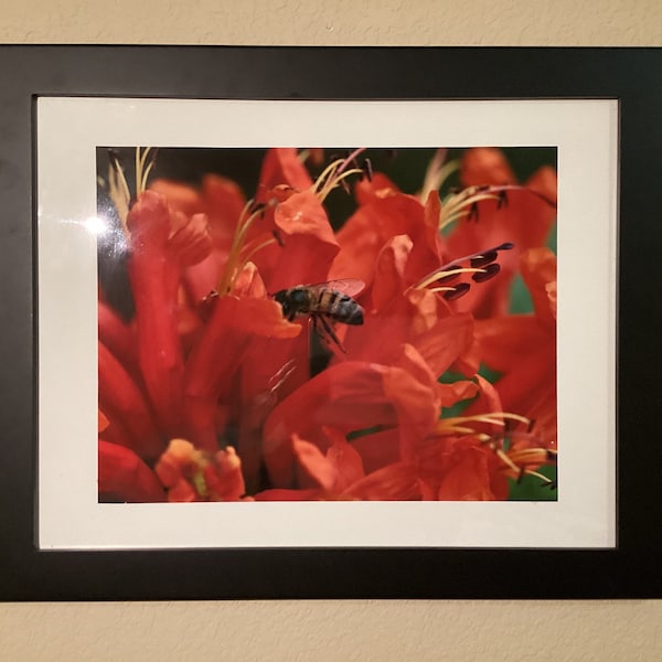 Bee Poem Print Download | Bee Decor - Etsy