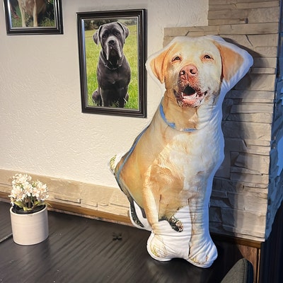 Photo Customization DIY Dog Cushion Pet Plush Toys Dolls Stuffed Animal ...