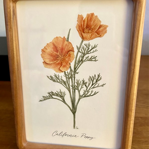 California Poppy Print - Flower Print, Botanical Print, California ...
