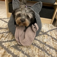 Wildcat Plush Sewing Pattern / PDF Cheetah / Cheetah Sewing Pattern PDF ...