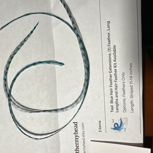 Feather Hair Extension Kit, 6 Real Feathers, Pick Your Length Short to ...