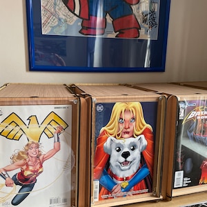 The Original Romany House Wood Comic Book Storage Box Safely - Etsy