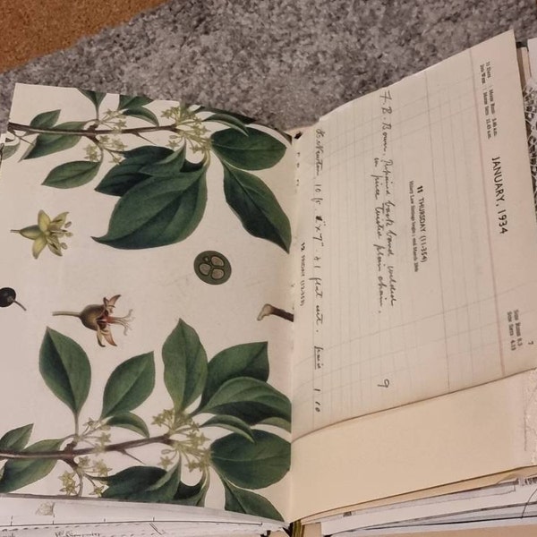 Edith Holden Craft Kit - Etsy UK