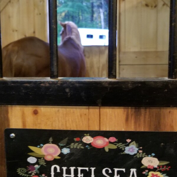 Custom Horse Stall Sign 11x14" With Feeding Instructions on Dry Erase ...