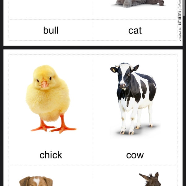 FARM ANIMALS • 22 Editable Montessori Cards • Flash Cards Nomenclature ...