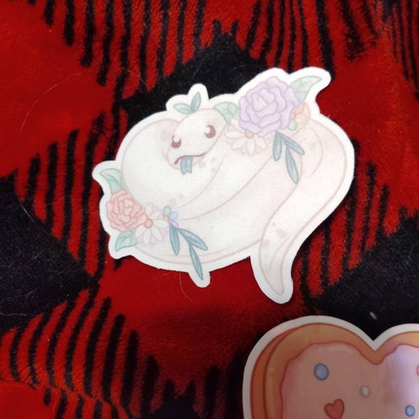 Furry Base Reference Sheet | Front and Back - Etsy