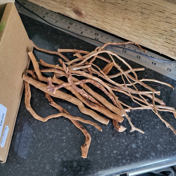 AZALEA REDMOOR ROOTS Terrarium Supplies Decorative Roots Terrarium ...