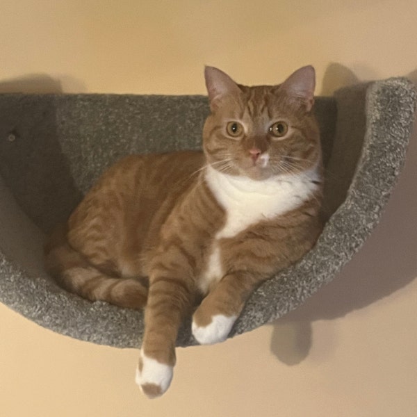 19" Cedar Cat Scratching Post/cedar Post/kitten/wooden Cat Scratcher ...